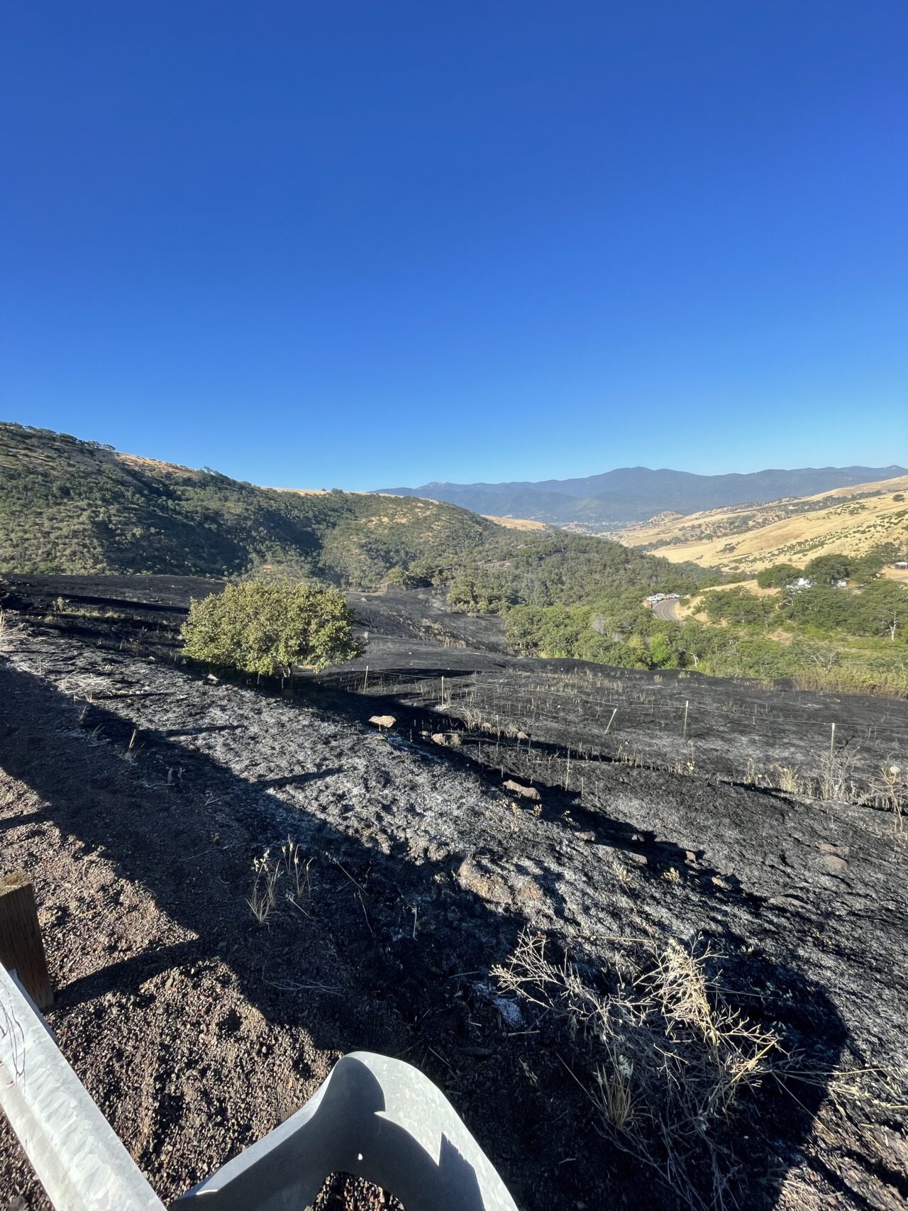 Firefighters Catch Dead Indian Memorial Road Fire Overnight | The ...